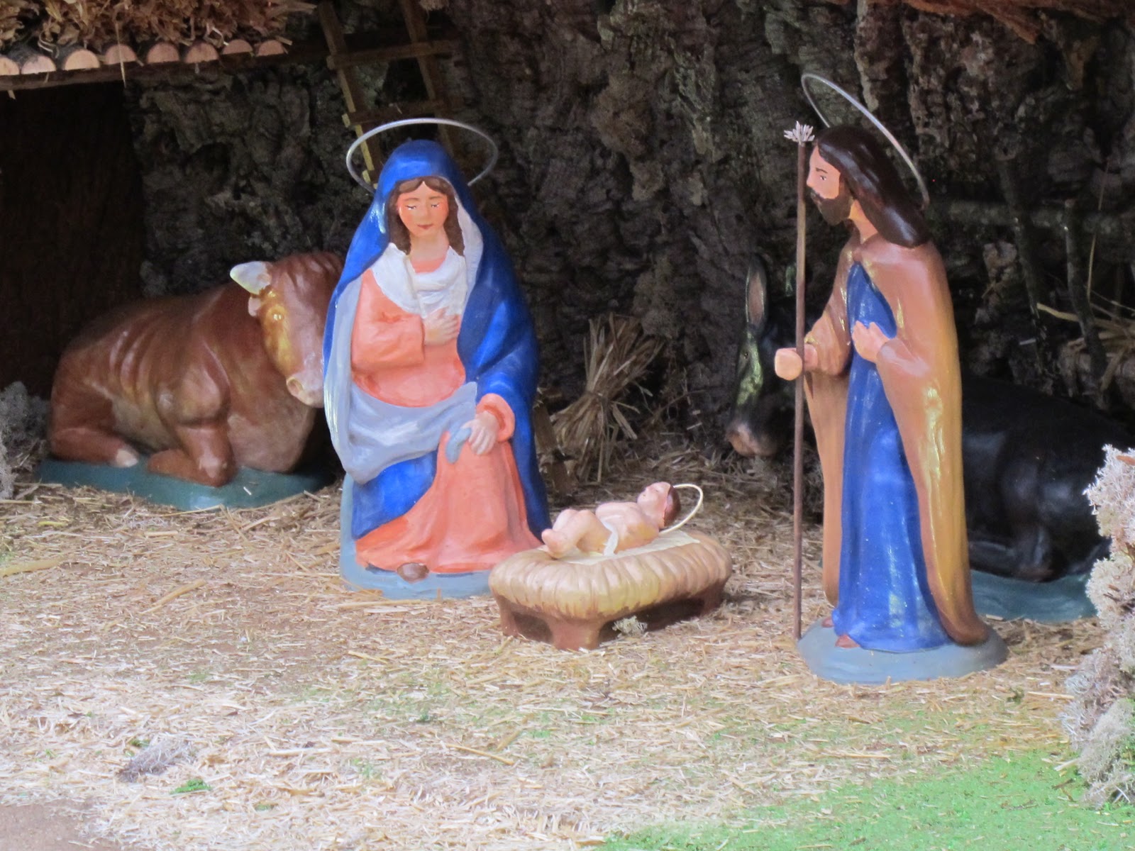 Wanderer: A Catalan Christmas