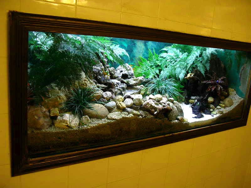 The Rainforest Garden: Rainforest, Indoors!