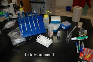 Biology Blogg: Bacteria Transformation Lab