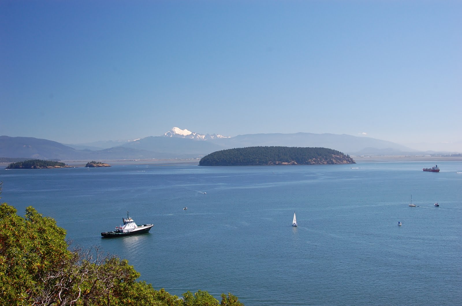 Travels with L (and sometimes Z & F): Fidalgo Island, Washington