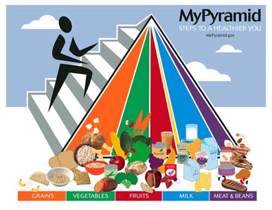 All about calories and foods in Malaysia: New Malaysian Food Pyramid