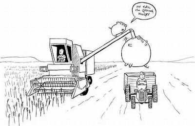 Selfish Pigs by Andy Riley - My Cartoon