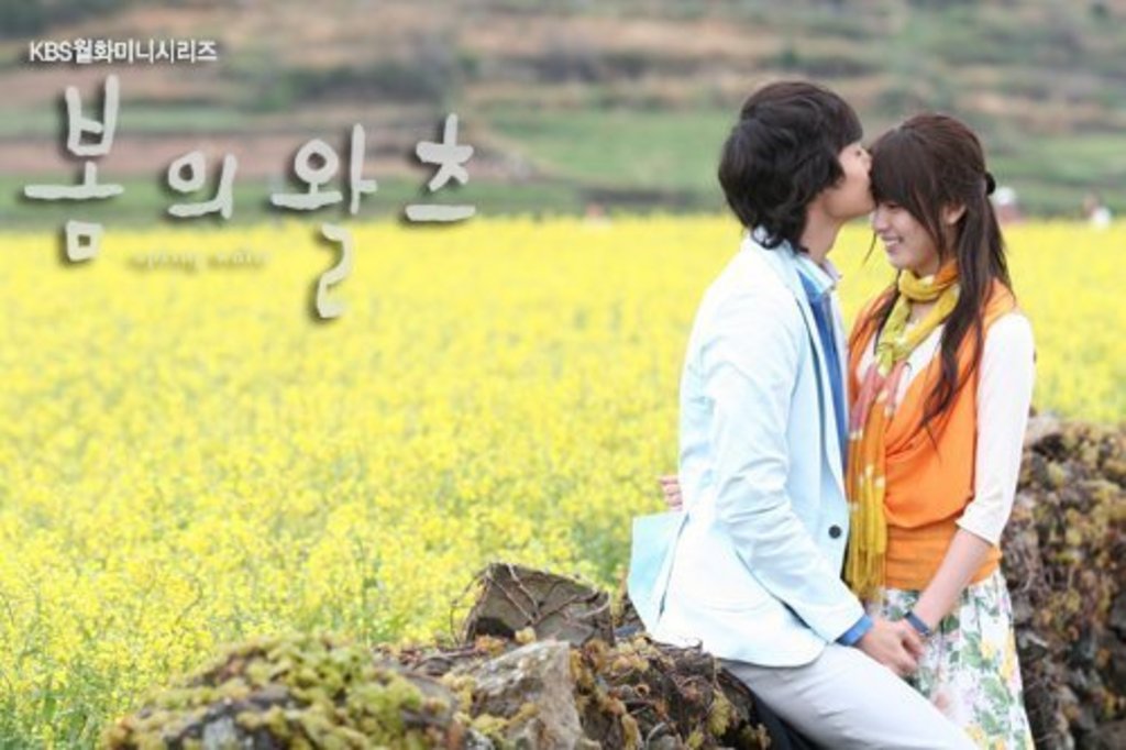 Brief Synopsis Spring Waltz