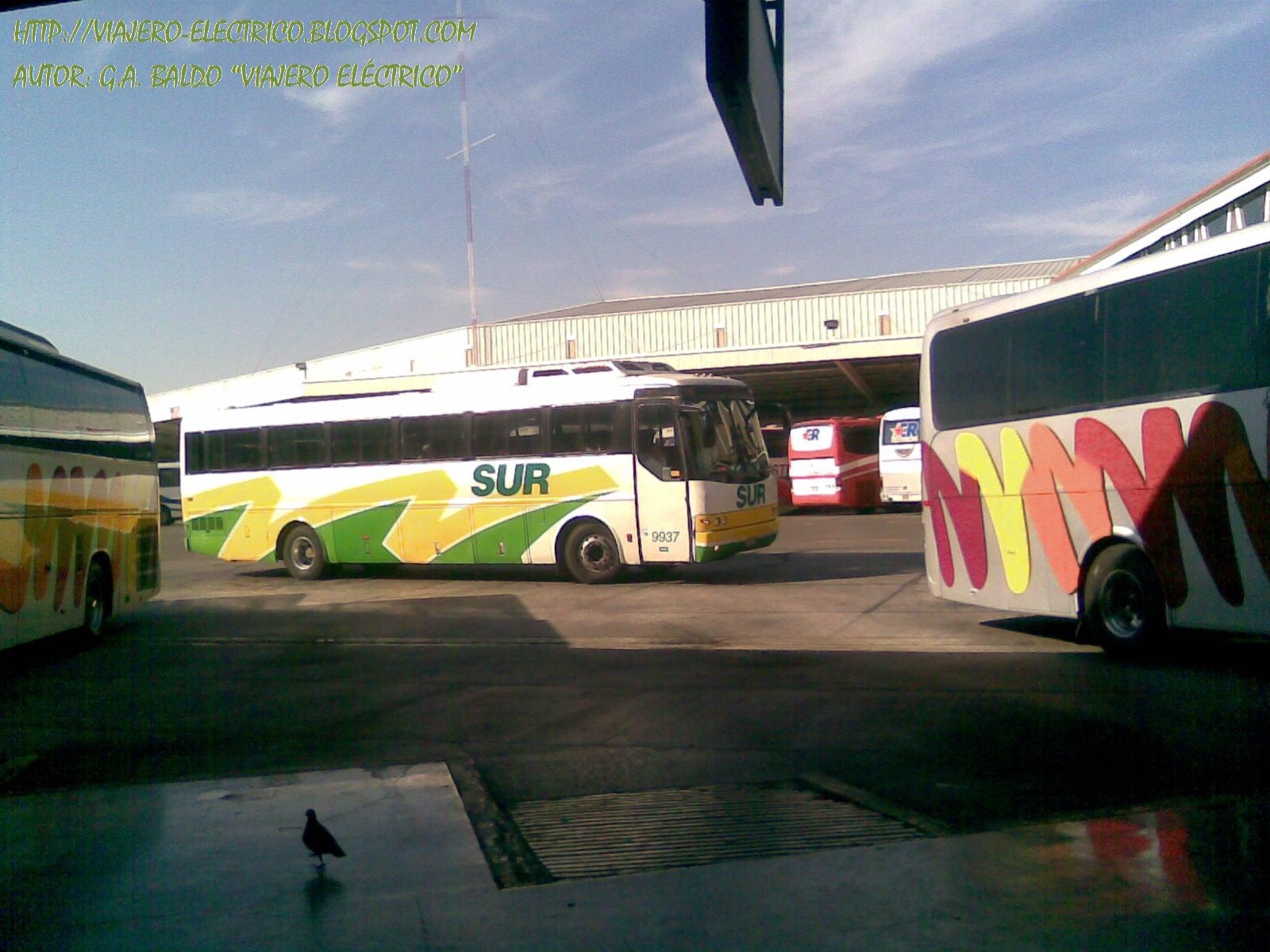 VIAJERO ELECTRICO: AUTOBUSES GOLFO PACIFICO LINEA SUR