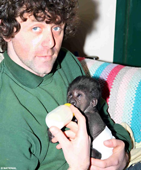 This Is Hysteria!: Half-Monkey, Half-Person: Evolution and Equality