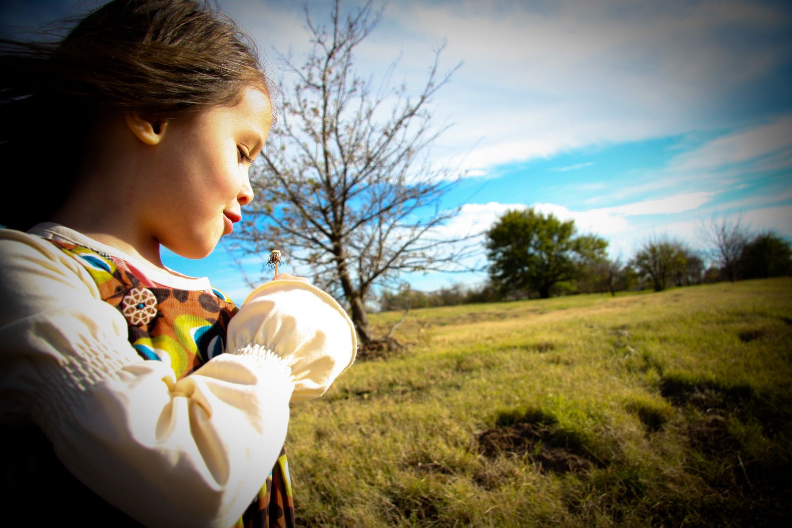 Posey Portraits by Katy Posey