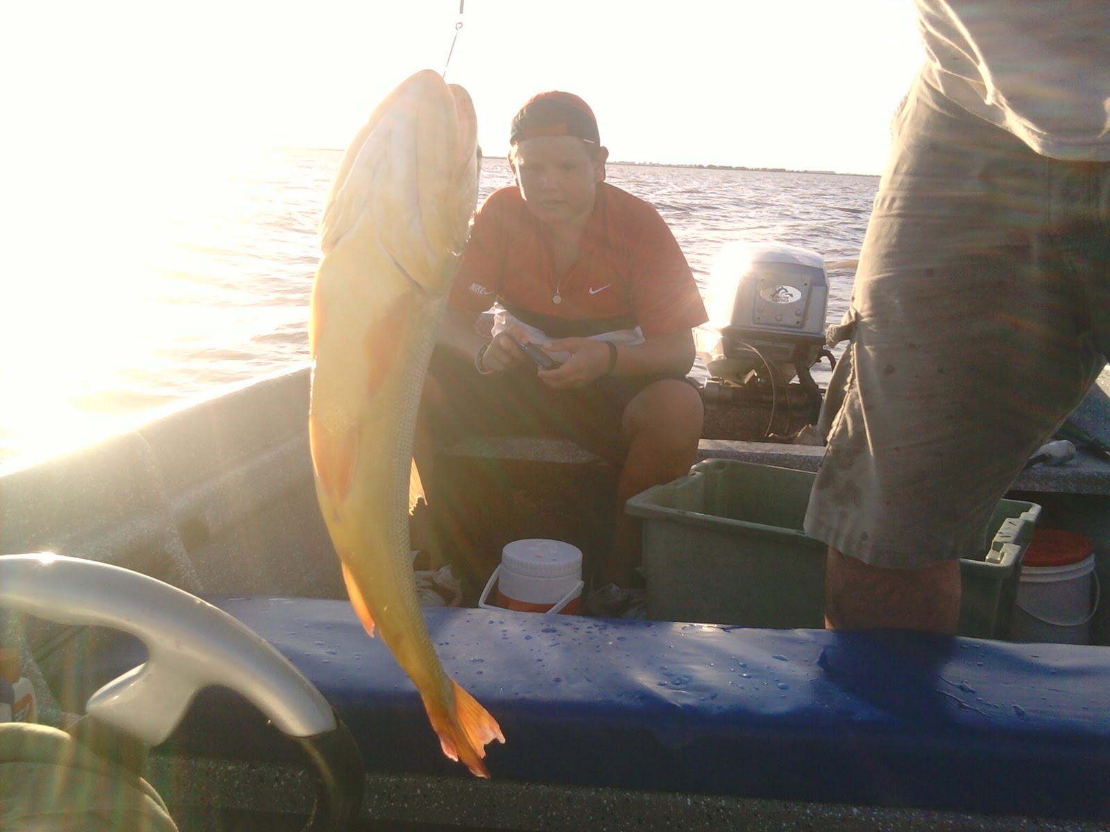 Facundo Pesca: enero 2011