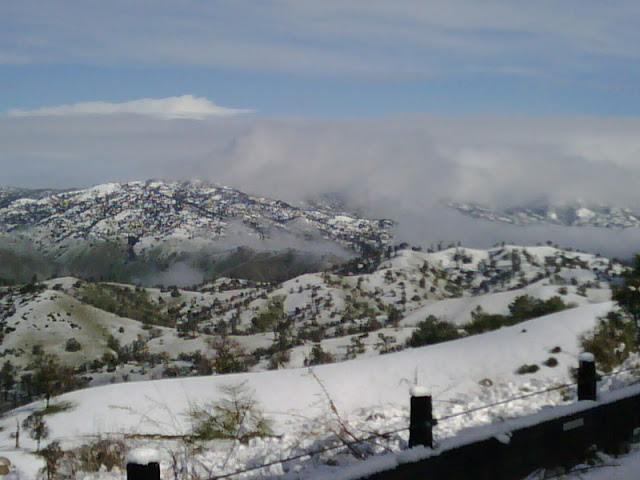 Bakersfield Observed: Mount Adelaide after the storms ... picture perfect
