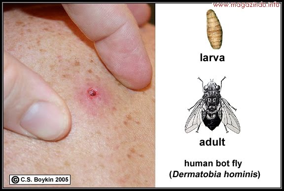 All Of My Hobbies: 2012