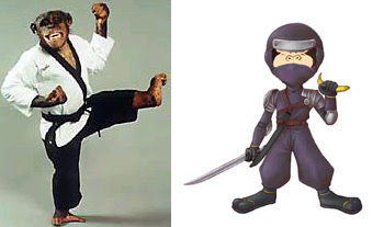 A Dads Life and Times: A Secret Agent, Flying, Ninja Monkey