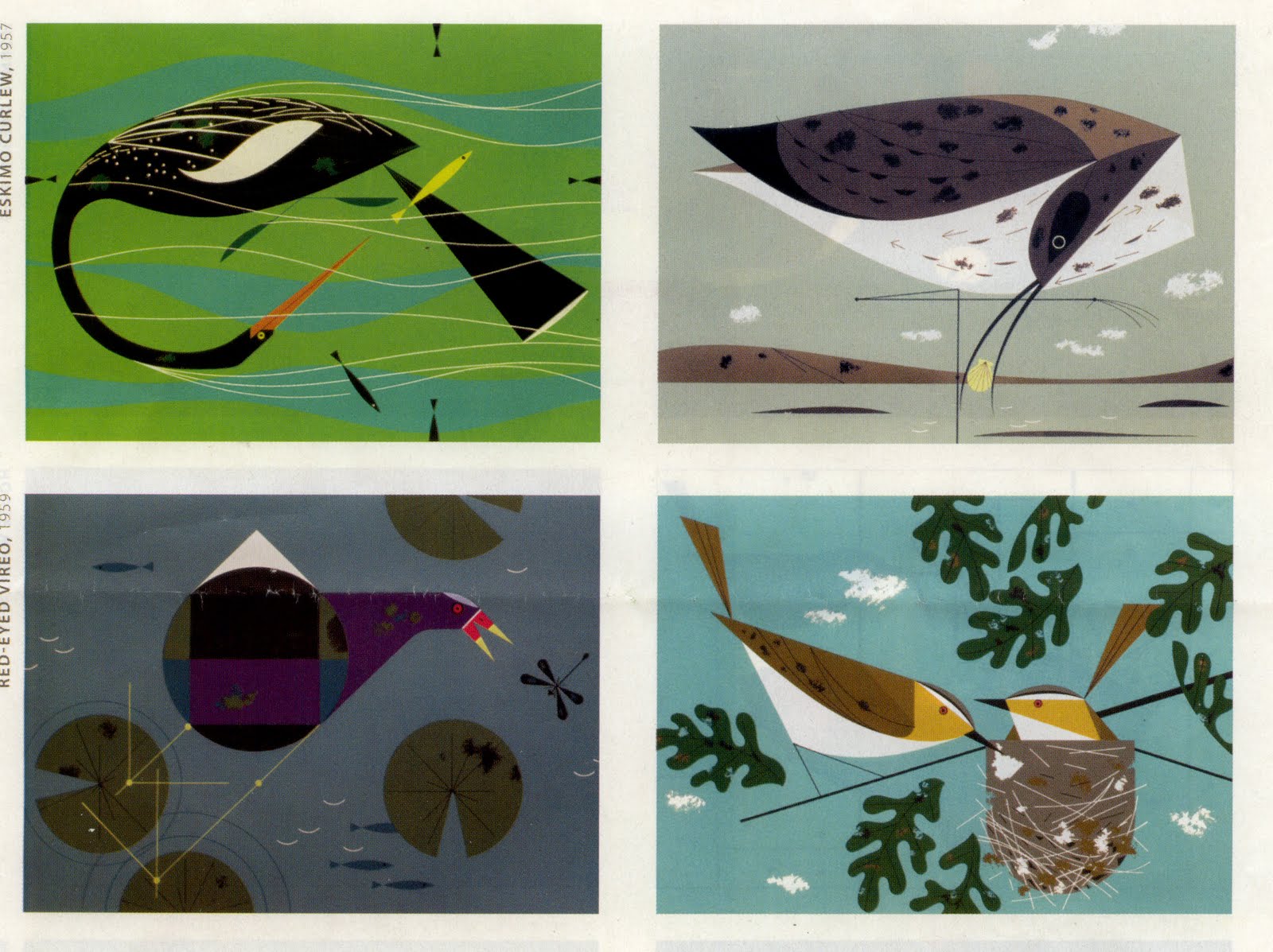 Peggy Turchette 365 Birds: January 2011