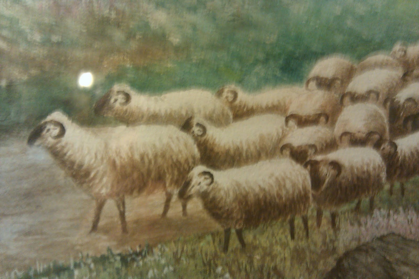H.E. Sawyer Manx Artist: Herding Sheep in the Scottish Highlands