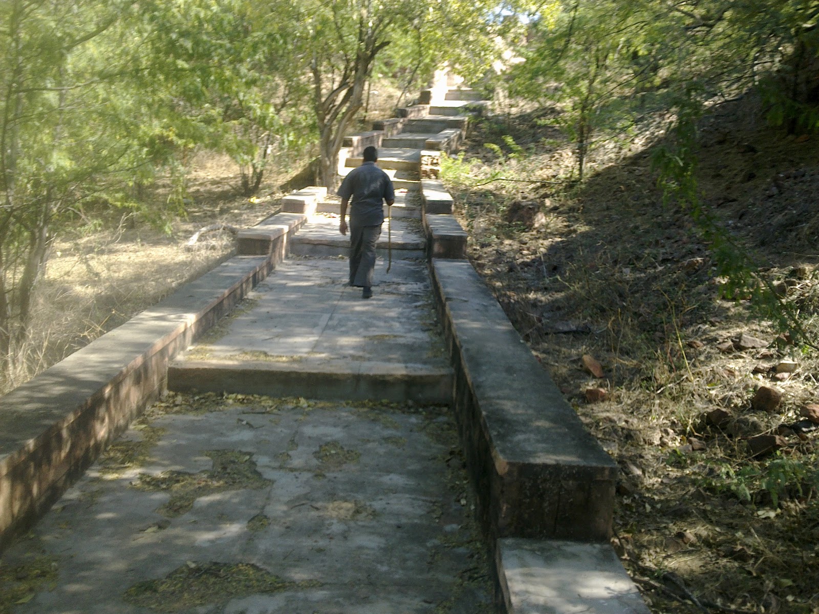 ரைட்பிளஸ் (Right plus): Siwana Fort Rajasthan