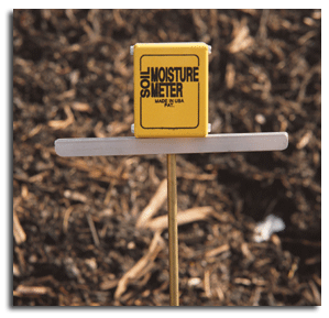 Aguinaga Green: Achieving the Correct Moisture Content of Compost