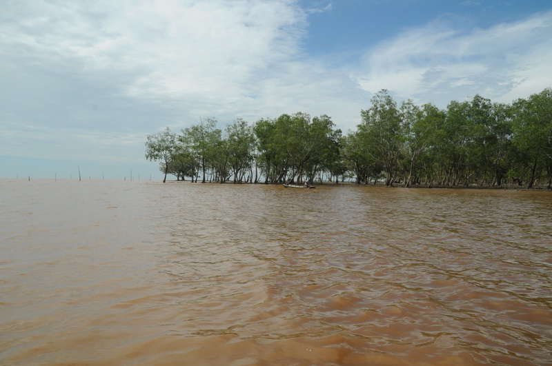 A Wandering Naturalist: Sarawak: Maludam - Three Men in a Boat