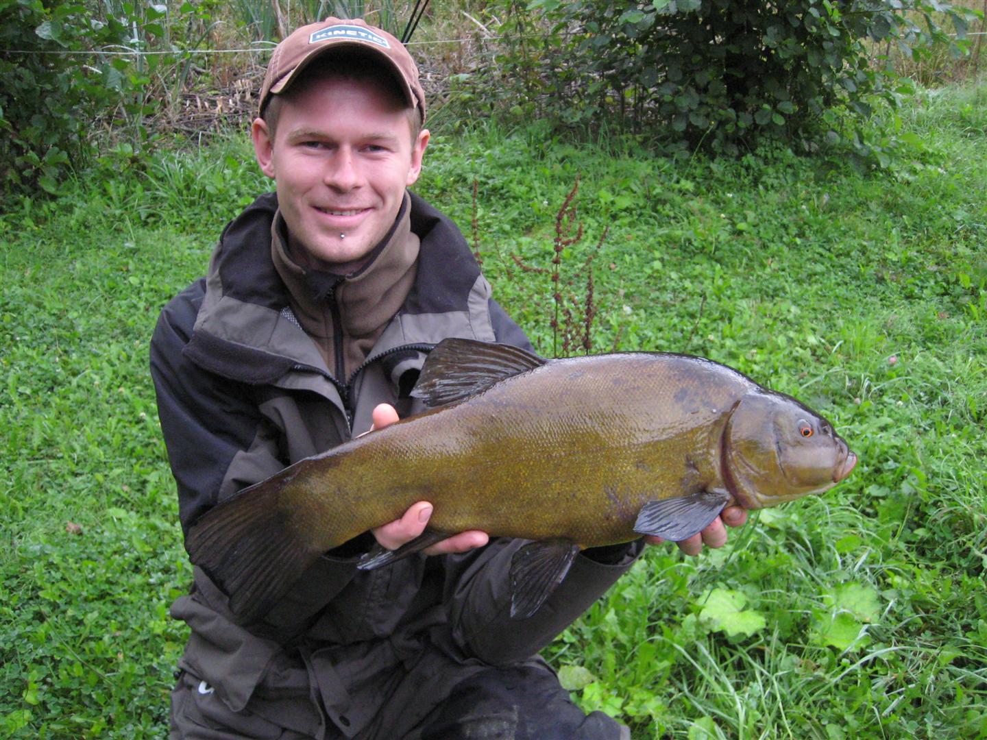 Kurres Fiskeshop: Mer sutare