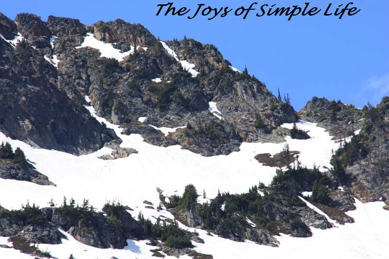 The Joys of Simple Life: Easy Pass Trail, North Cascades National Park
