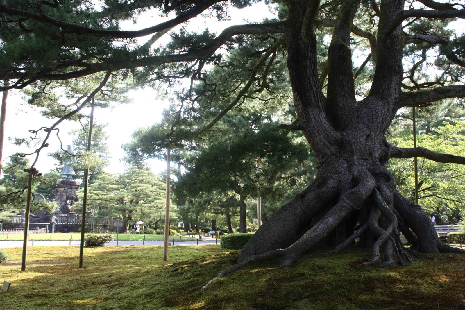 The World Tastes Good: Kanazawa, Day 2