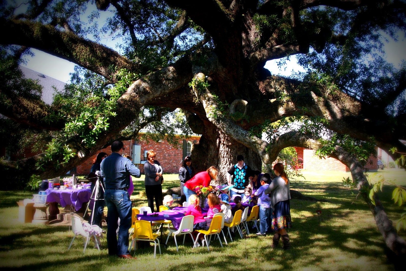 Living in Lewis Land: Tea under the Big Oak Tree