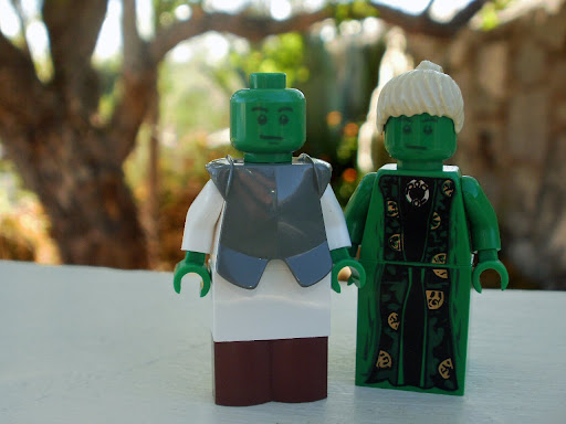 Bountiful Blessings: Original Creations by Dylan: LEGO Shrek and Fiona ...
