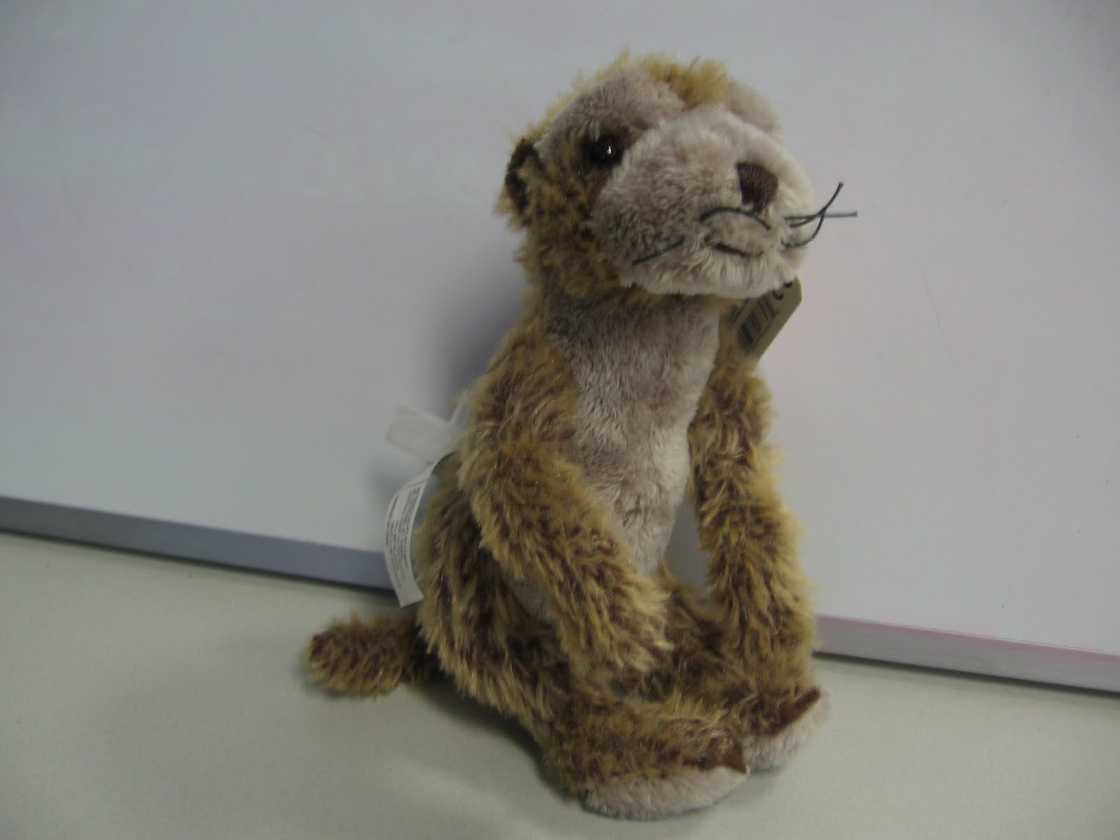 TELUS CRITTER BLOG: 5 more of my critters.