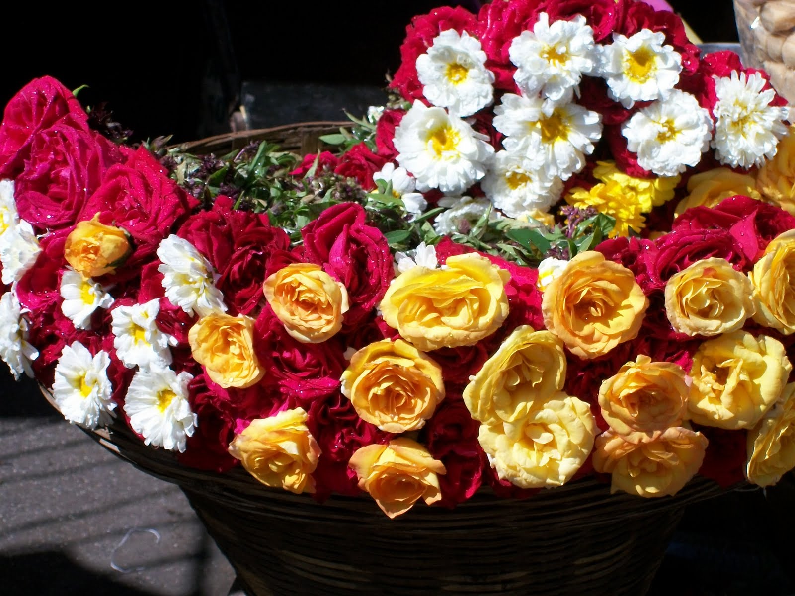 Life - A Journey of Journeys: One day visit to Shirdi