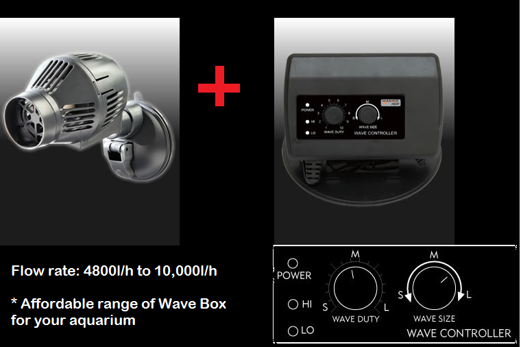 the Prodigal Cube: Macro Aqua DC Wave Maker