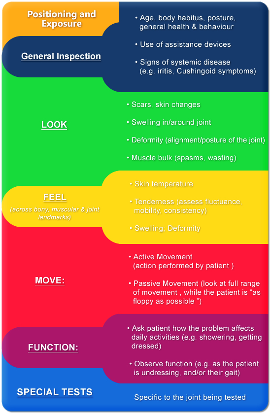 An Introduction to the Musculoskeletal Clinical Exam - IVLine
