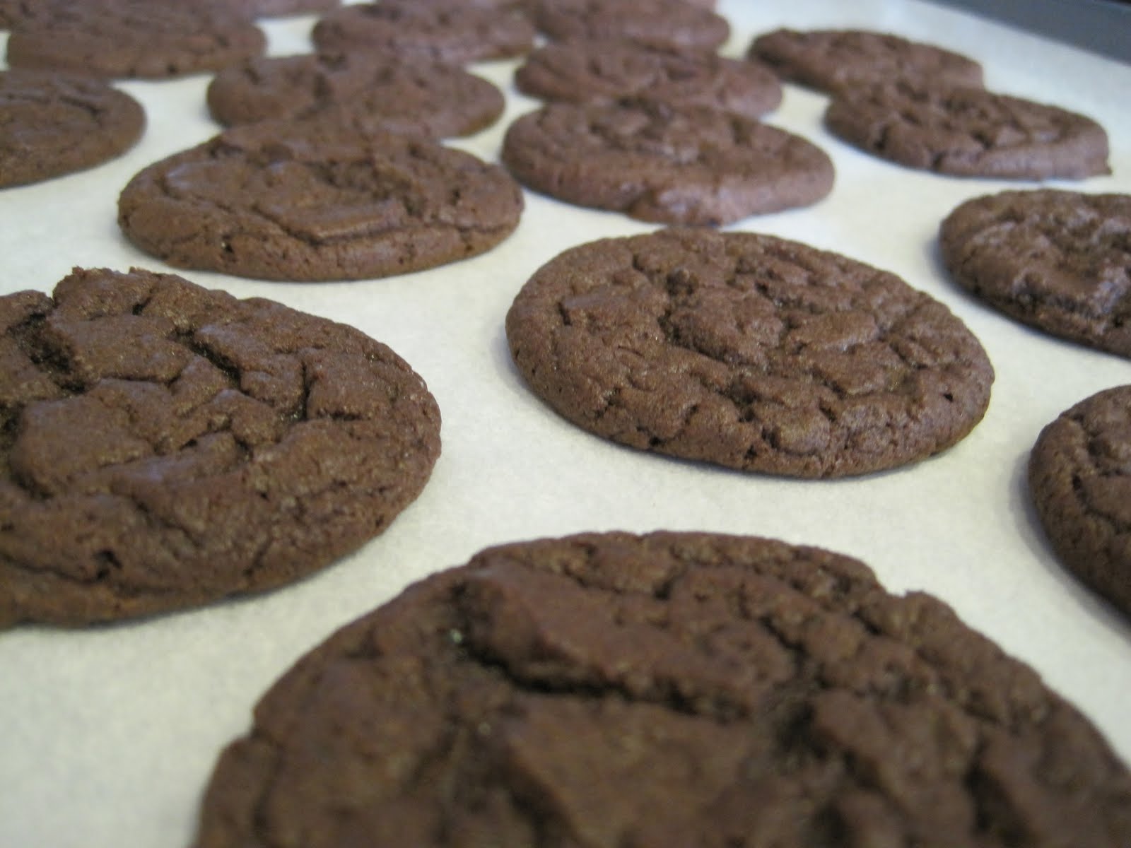 The Project Corner: Oreo Cookies