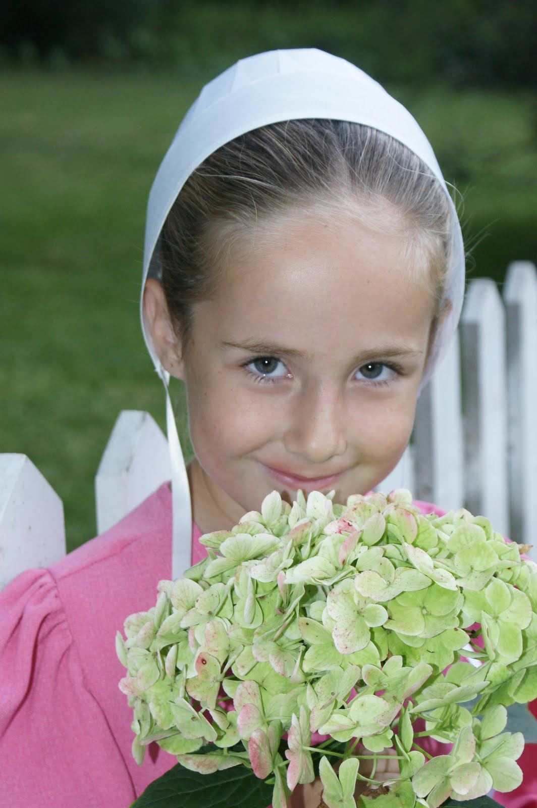 All things Amish: Amish