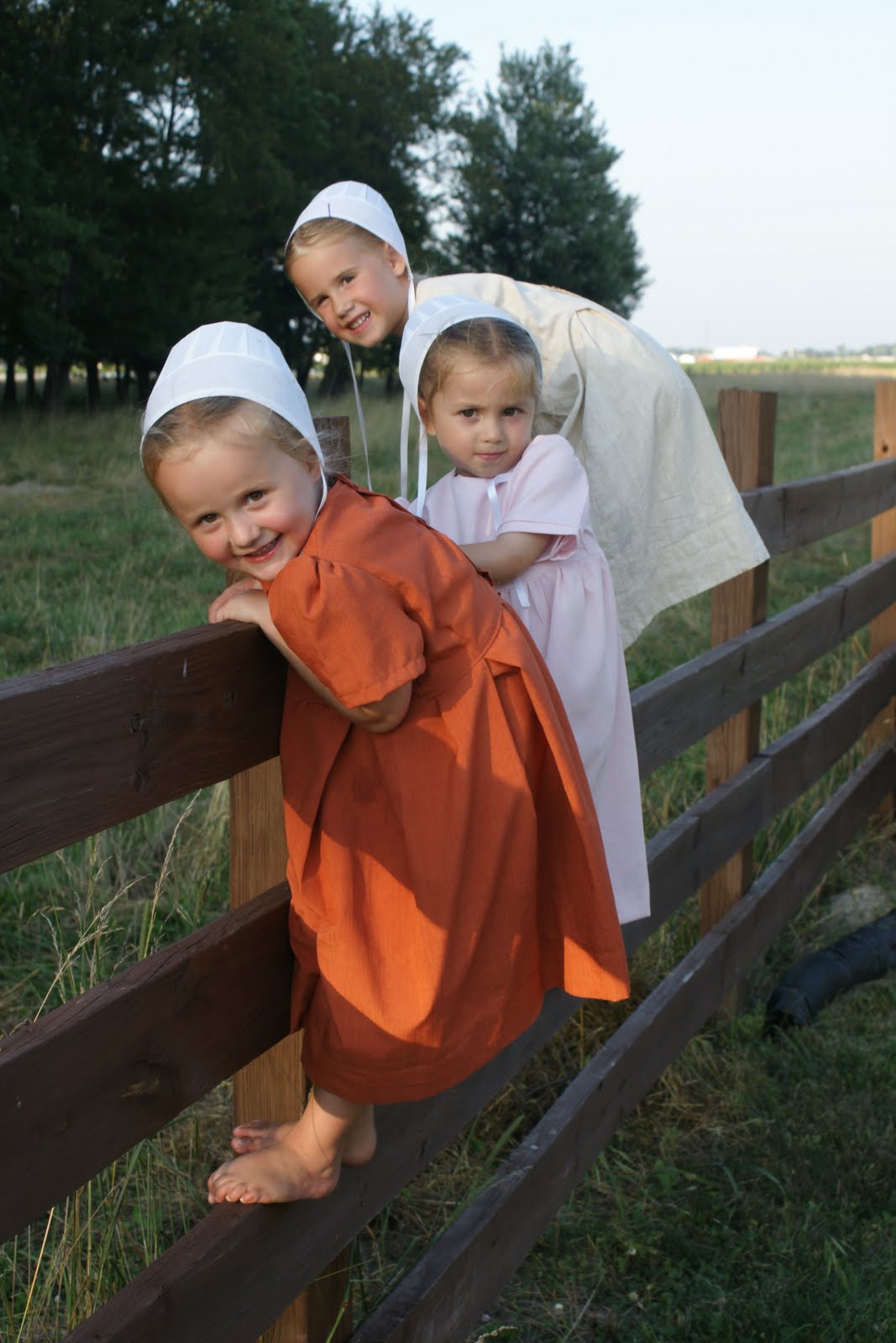 All things Amish