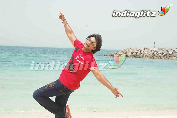 CHALLENGING STAR DARSHAN: Yodha----------------Darshan and Nikitha