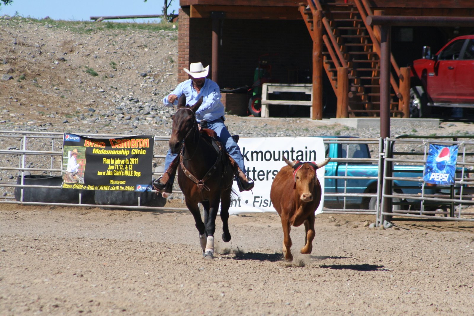 PairADice Mules: Ranch Competition Jake Mule Days