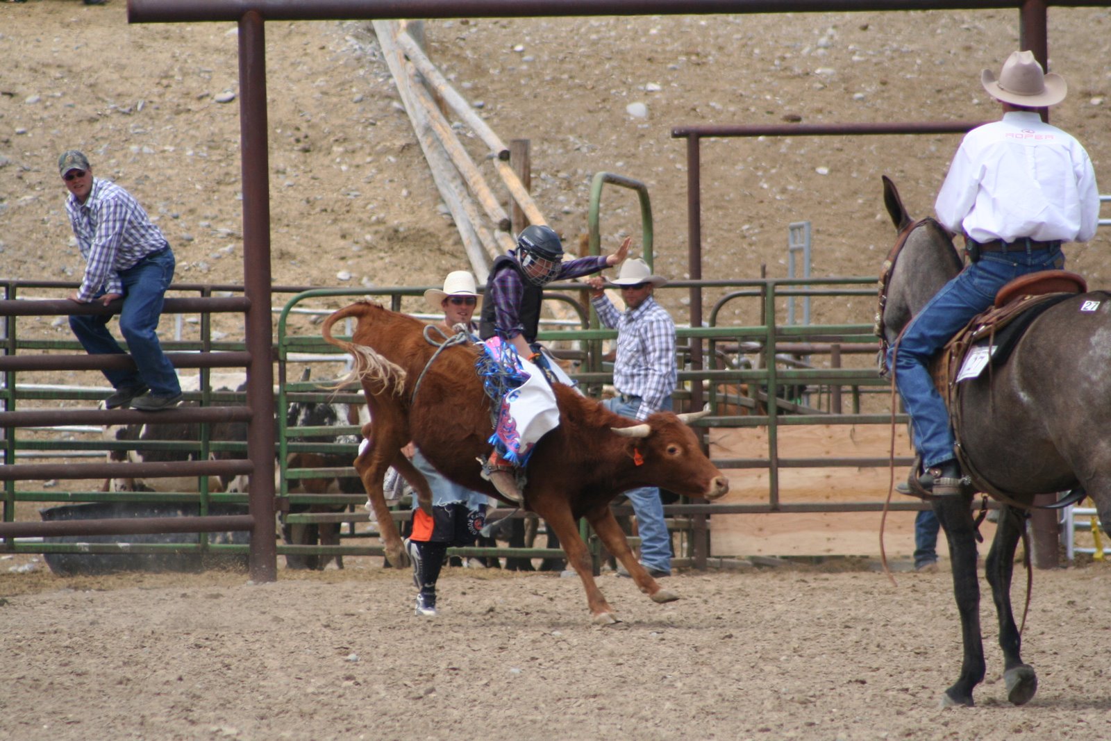 PairADice Mules: More Rodeo Pictures