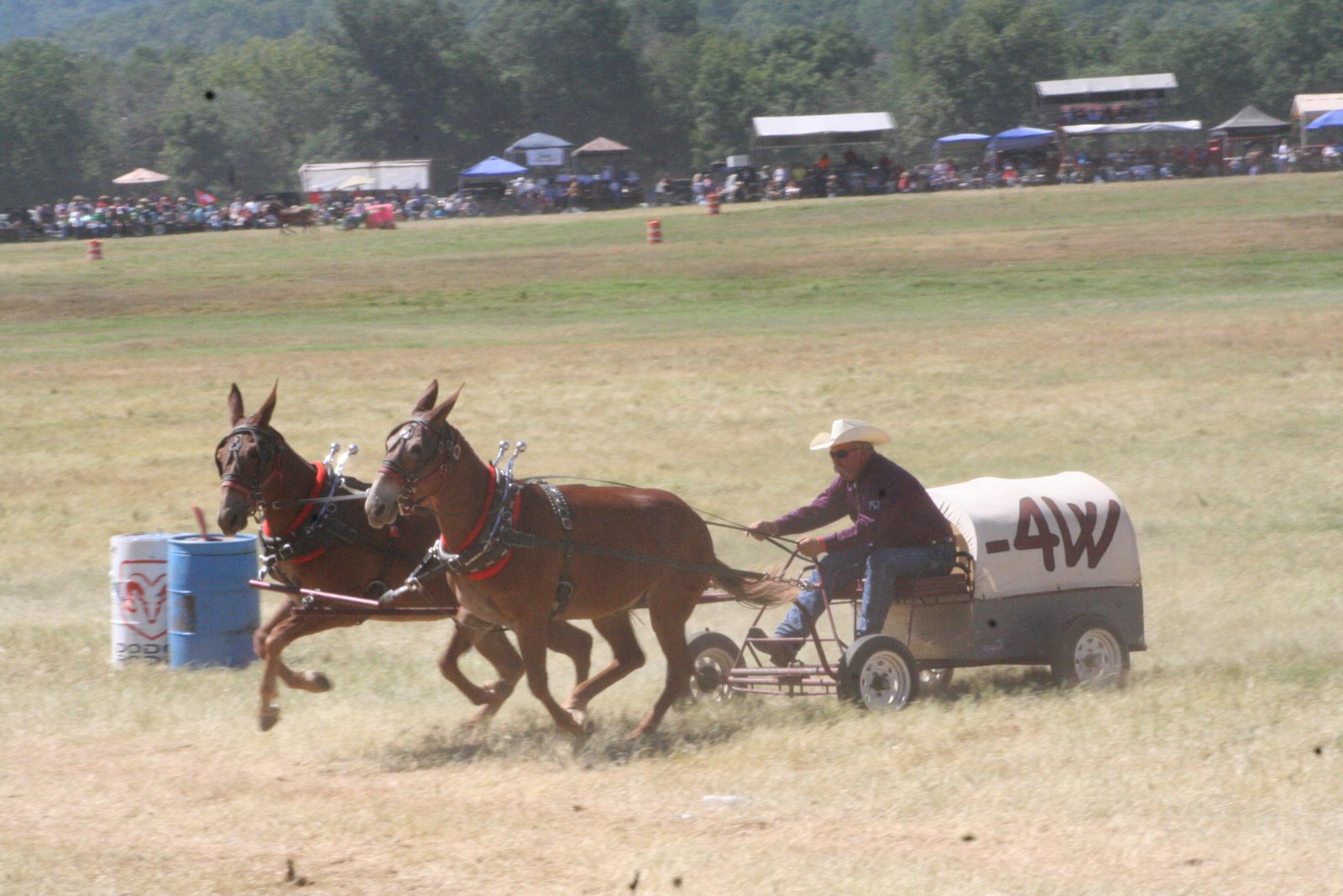 PairADice Mules: Big Mule Races at Clinton, AR