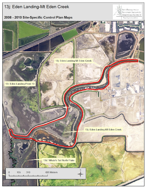 MT EDEN HISTORY: Mt Eden