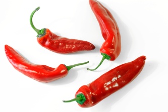 COCINA Y BAR: GUINDILLA