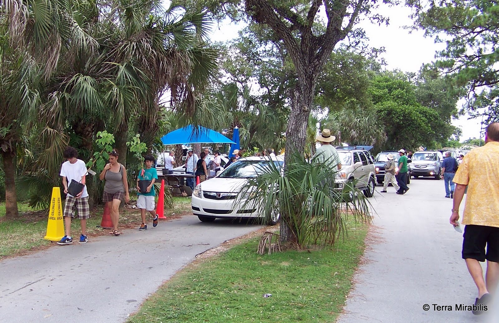 Terra Mirabilis: County's Adopt-a-Tree program is a blooming success