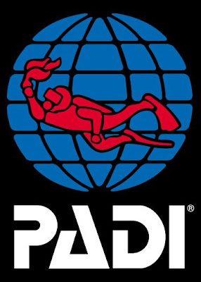 PADI Sidemount Courses Offers Alternate Equipment Configuration | The ...