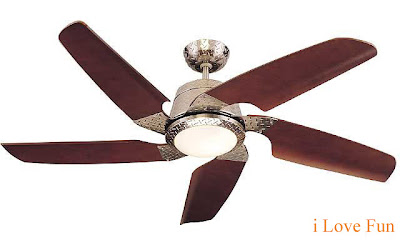I Love FUN: Beautiful Ceiling Fan
