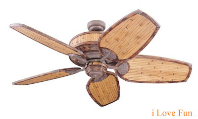I Love FUN: Beautiful Ceiling Fan