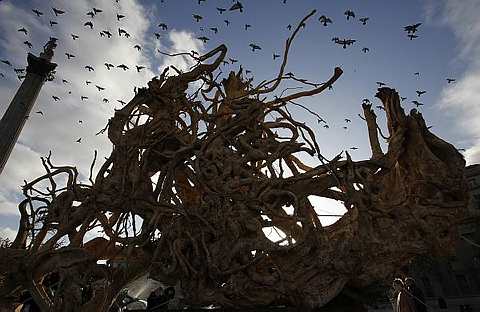 Ghost Forest art installation by British artist Angela Palmer