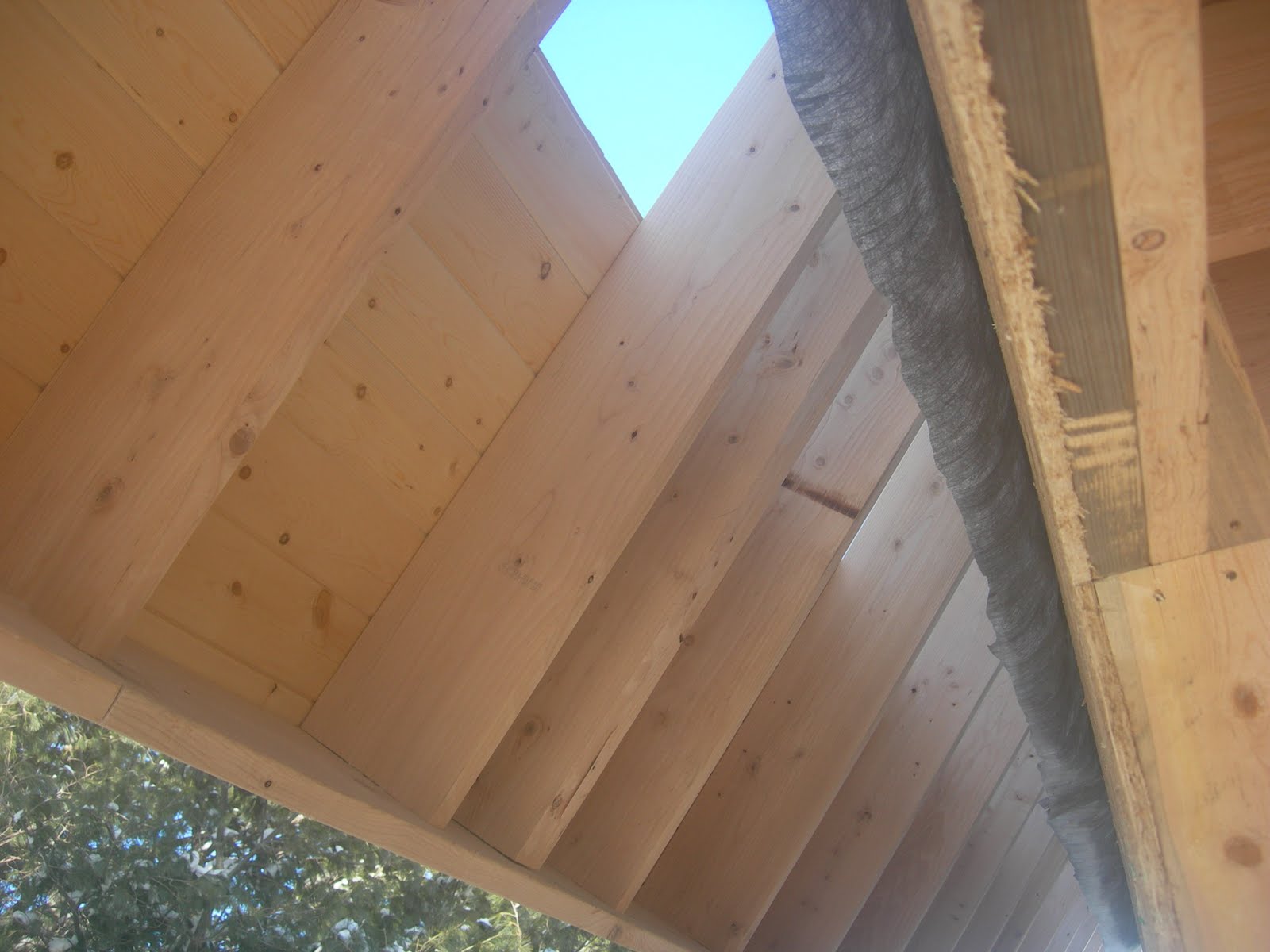 Camp Bayfield: The expose rafter tails and wp4 roof sheathing