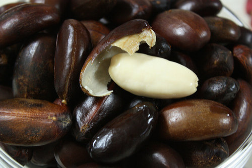 Keenakan Buah Perah - nanieybarnieylurviey