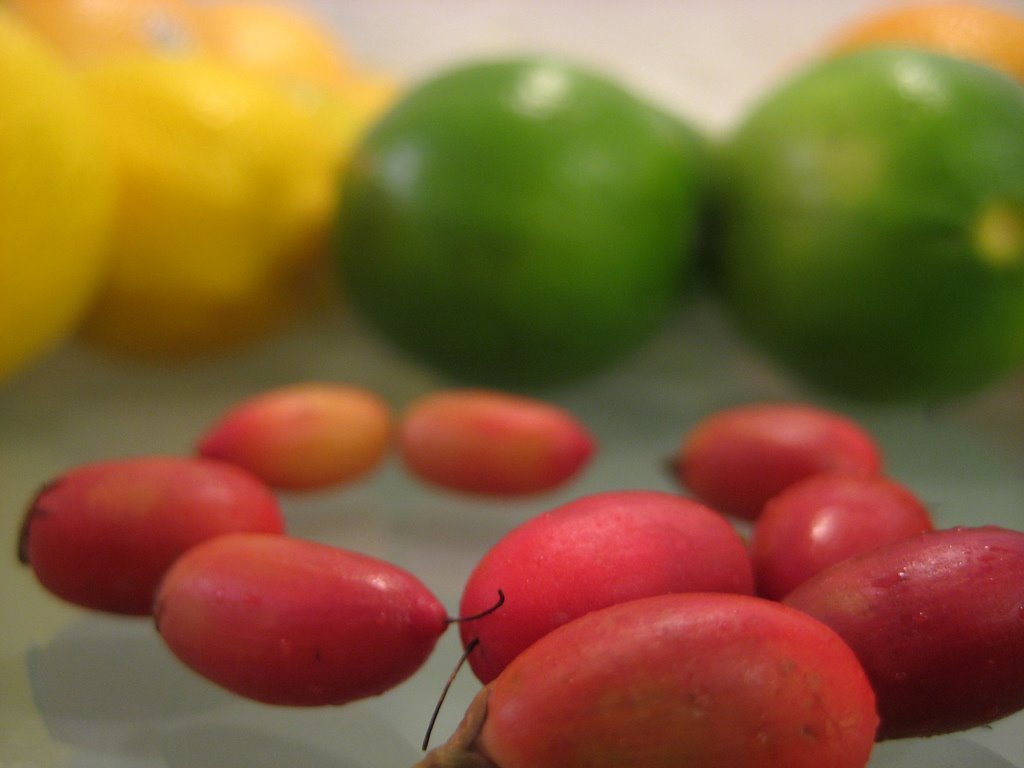 Meridianos: Synsepalum dulcificum, la Fruta Milagrosa