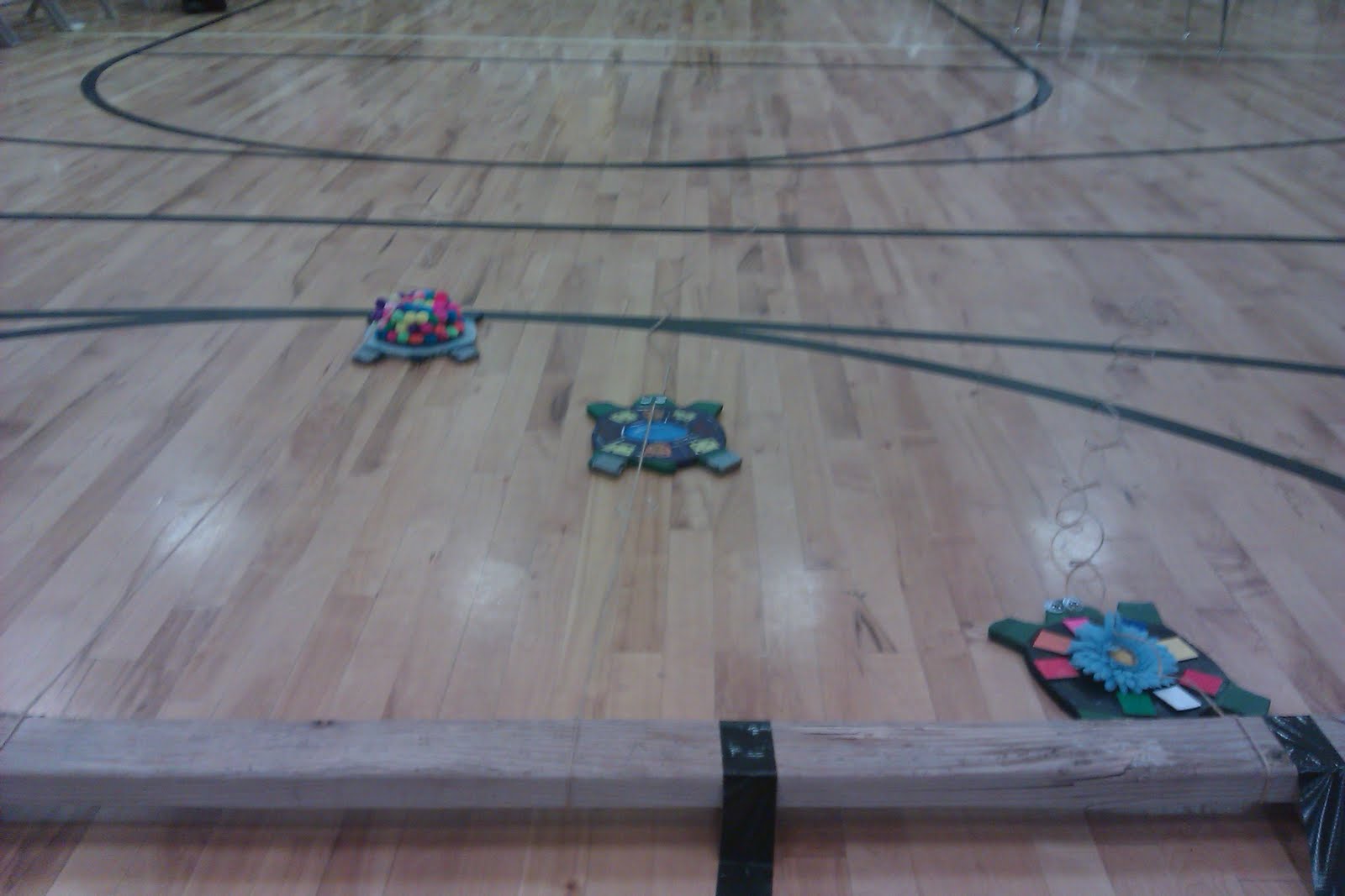 Pony Express District Cub Scouts: The Turtle Races