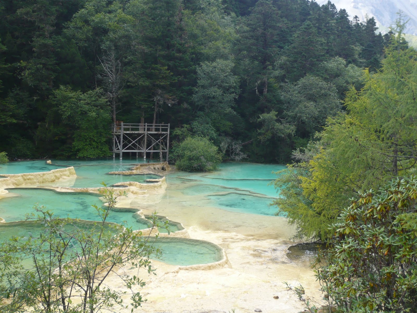 Welcome to my blog: Huanglong 黄龙