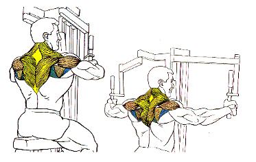 Aperturas en Peck-Deck | DIARIO DE UN FISICOCULTURISTA