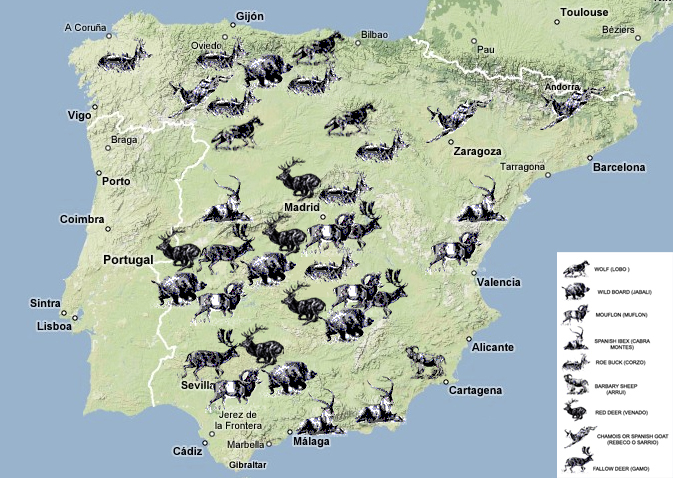 CIRCULO DE CAZADORES: CAZA EN ESPAÑA - HUNT IN SPAIN