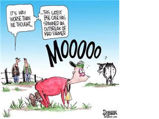 [4H; Mad Cow Disease]^_________^